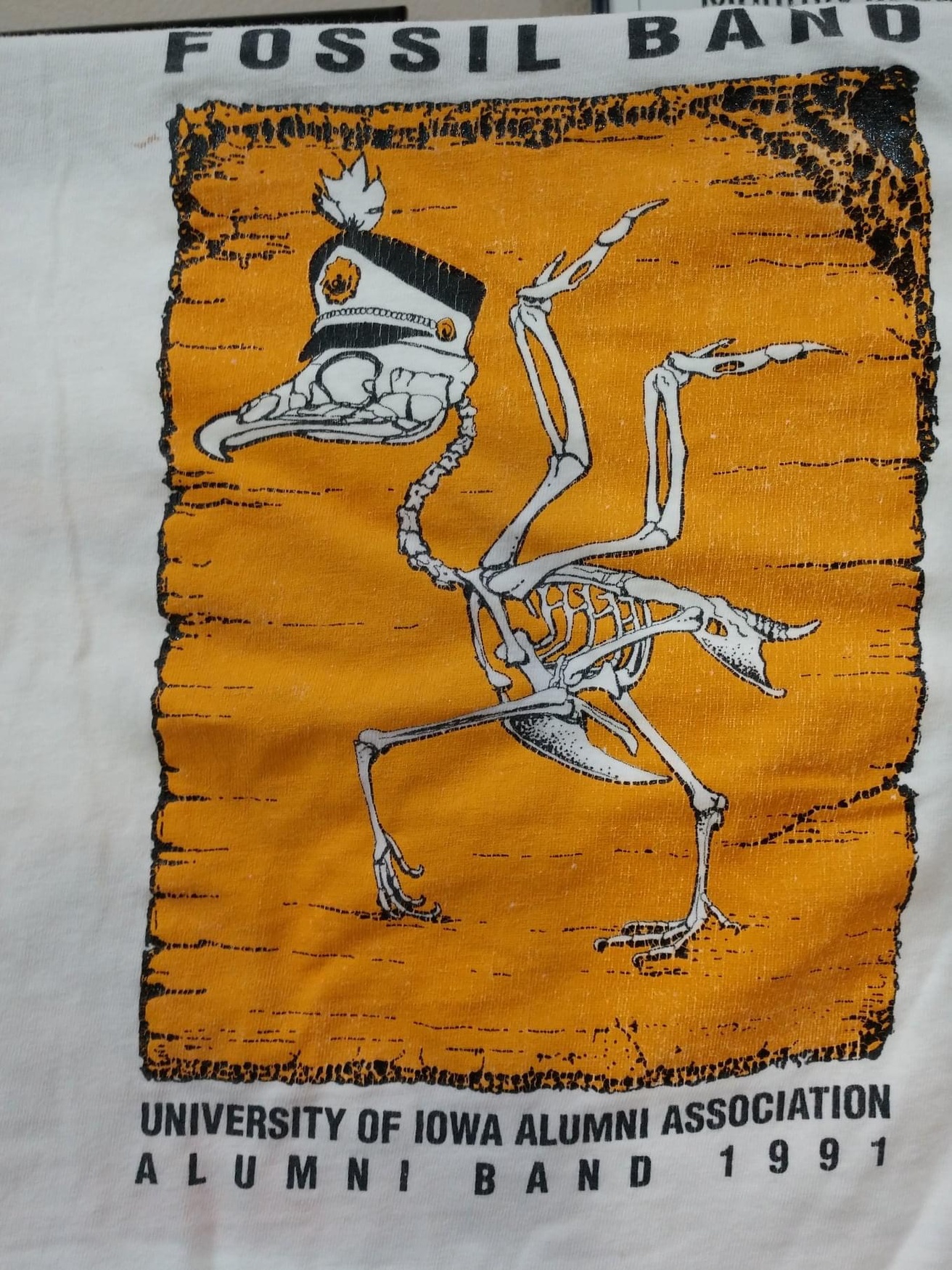 Meet the Next Generation of Marching Herky! | Hawkeye Marching Band ...